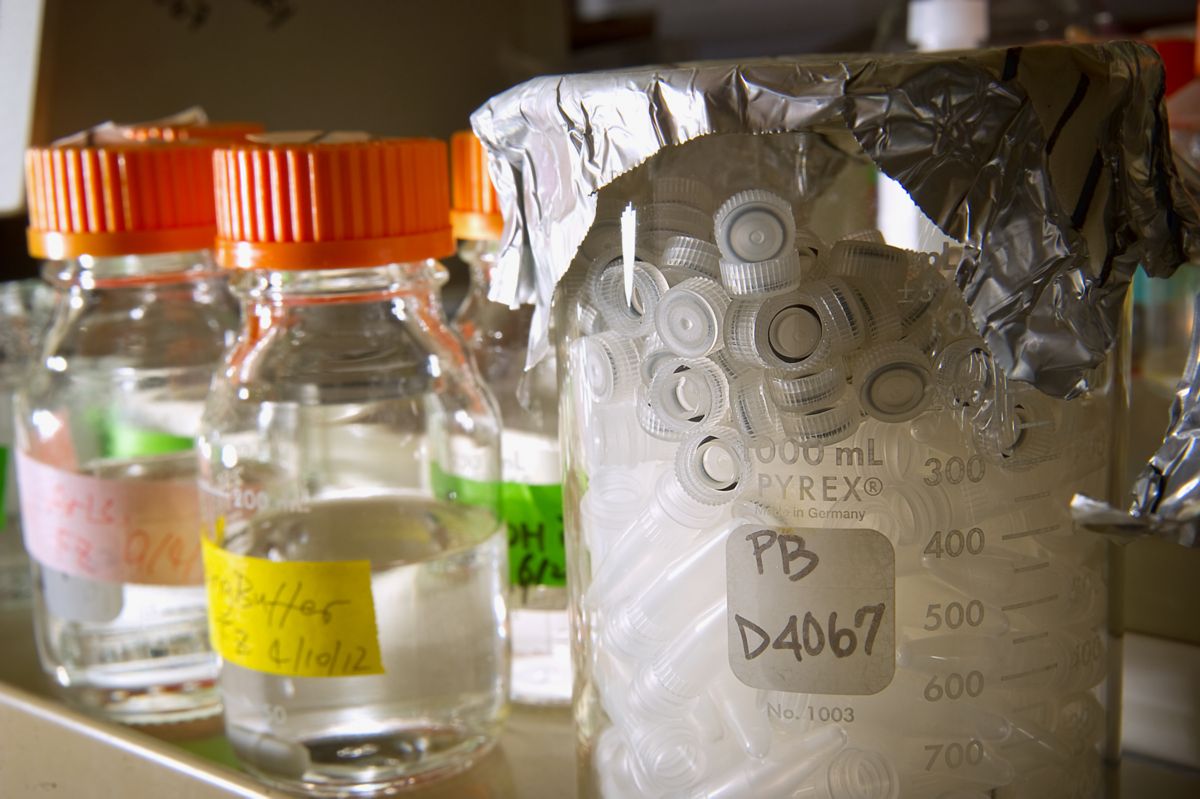 Anand Patel Lab | St. Jude Research