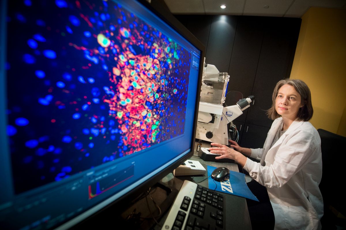 Developmental Neurobiology | St. Jude Research