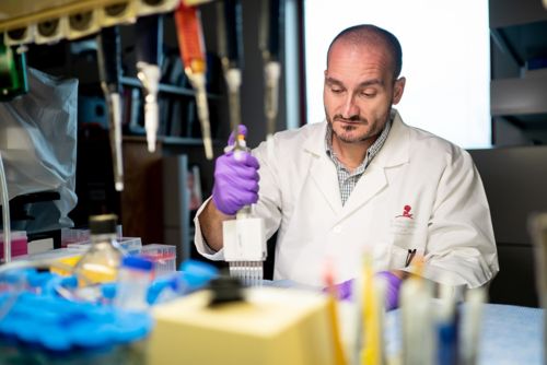 d’Azzo Lab | St. Jude Research