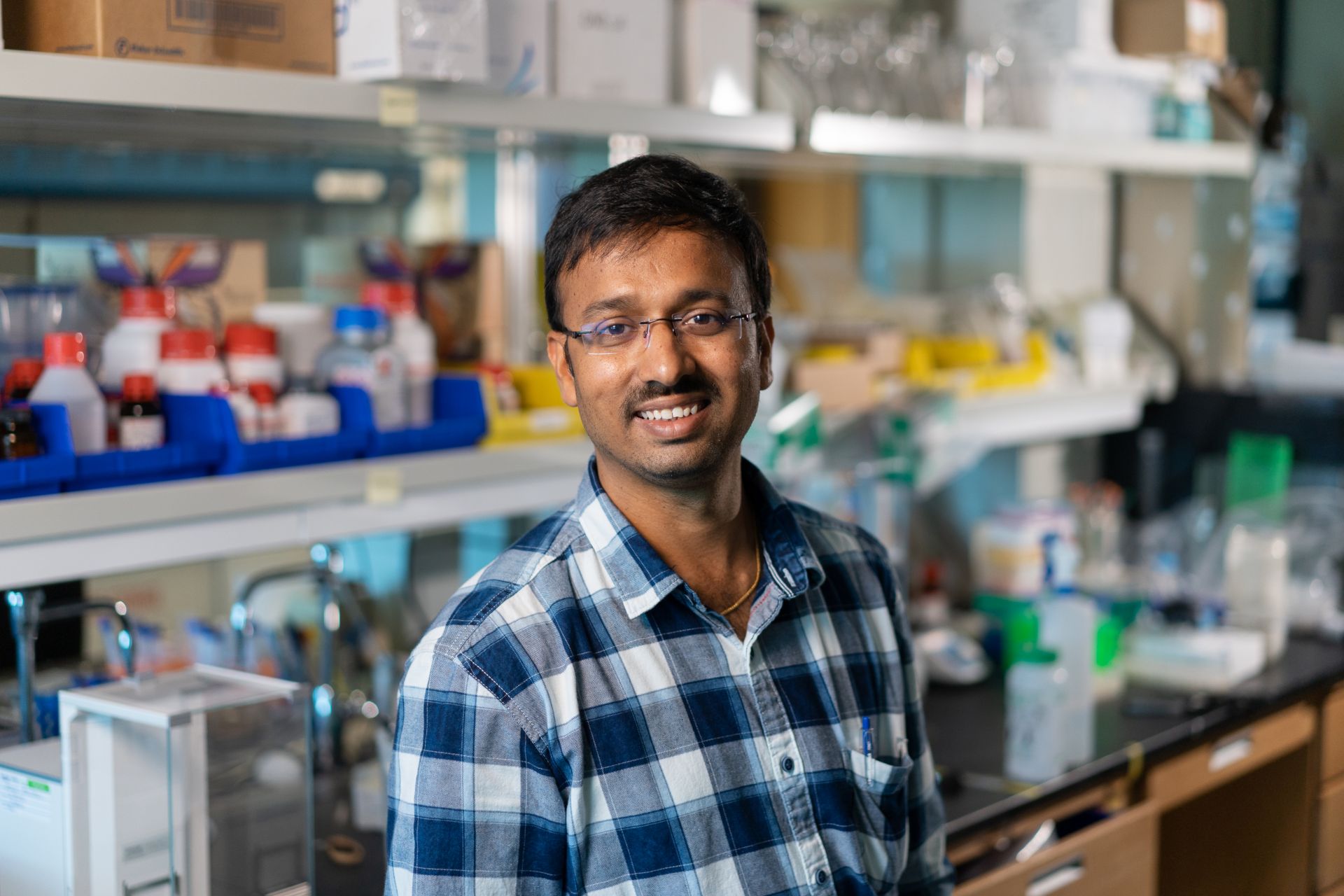 Ansari Lab | St. Jude Research