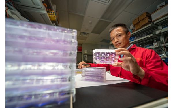 Labs | St. Jude Research