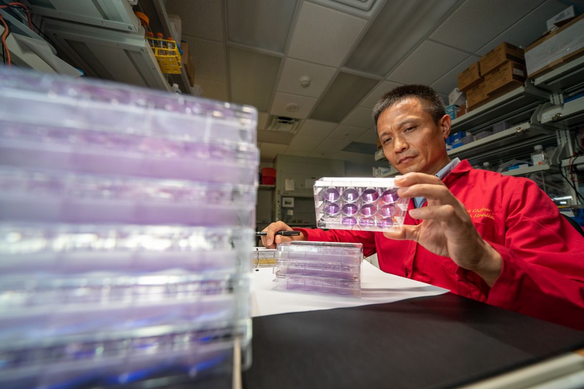 Russell Lab | St. Jude Research