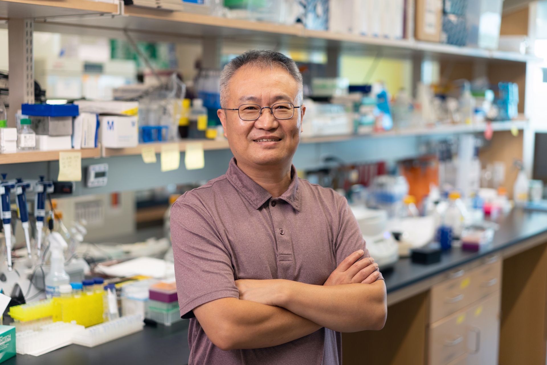 Han Lab | St. Jude Research