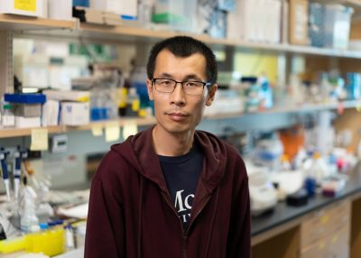 Han Lab Team | St. Jude Research