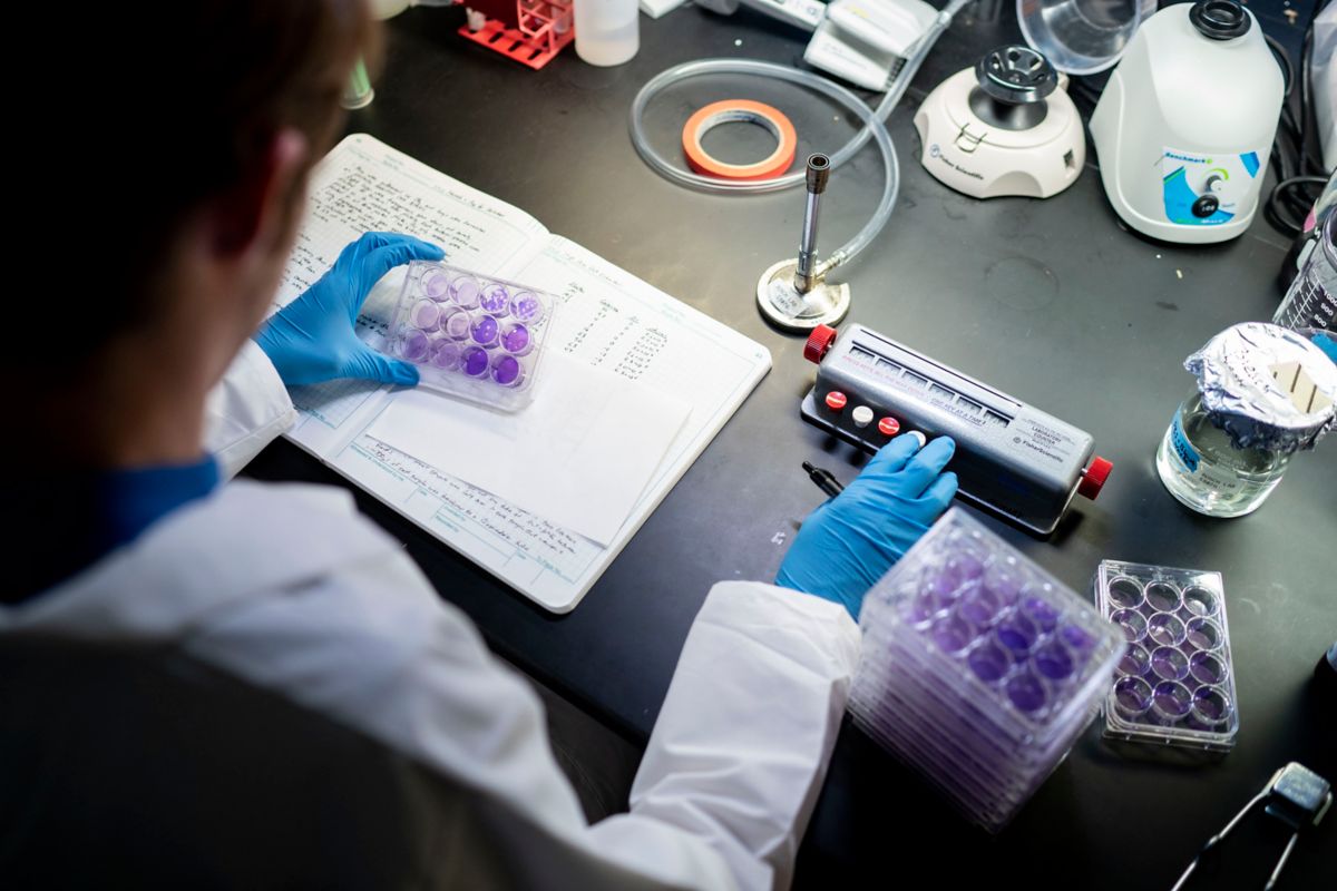Rosch Lab | St. Jude Research