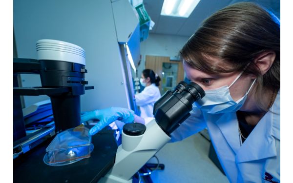 Labs | St. Jude Research