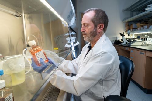 Hurwitz Lab | St. Jude Research