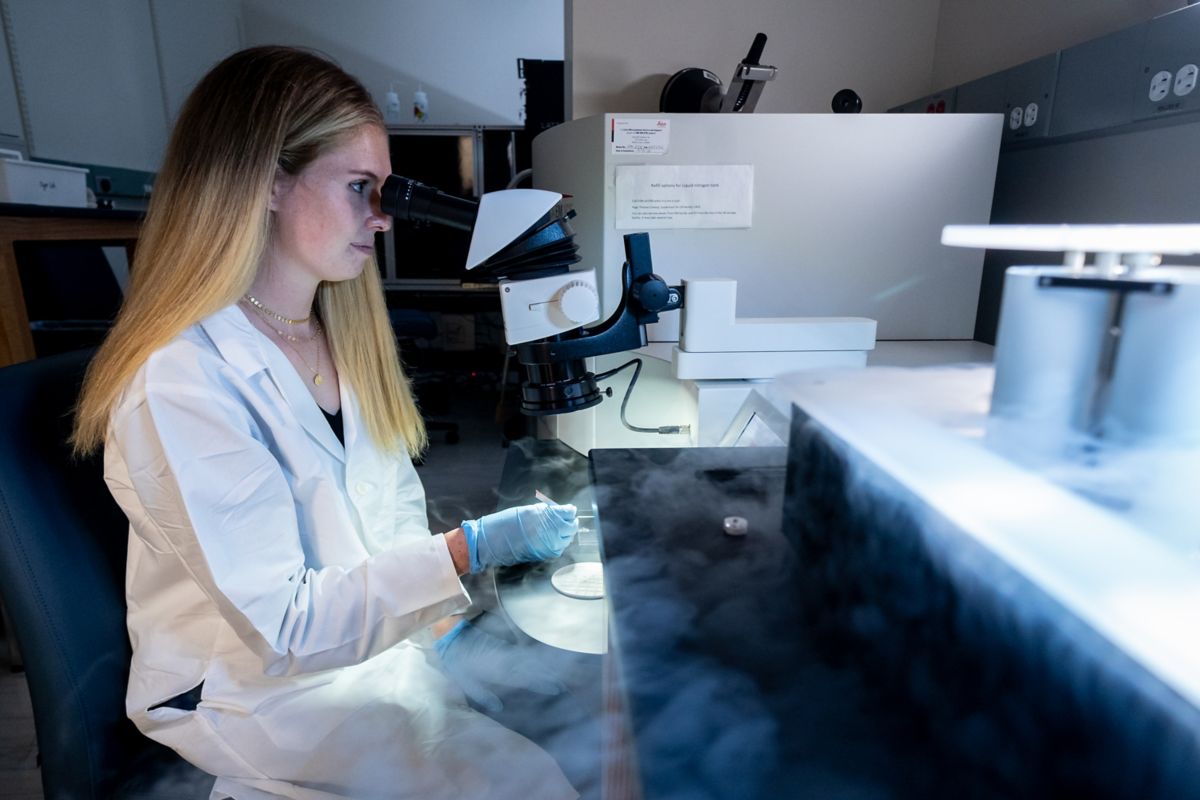 Dyer Lab Team | St. Jude Research