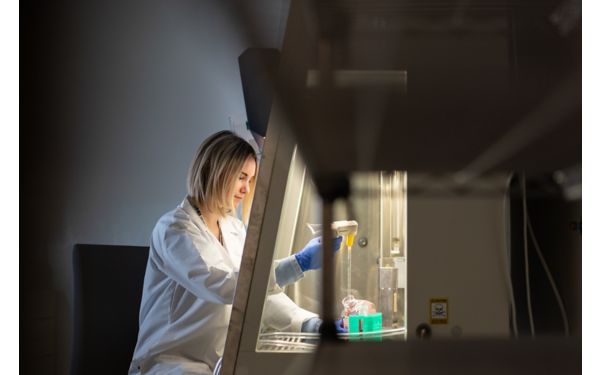 Labs | St. Jude Research