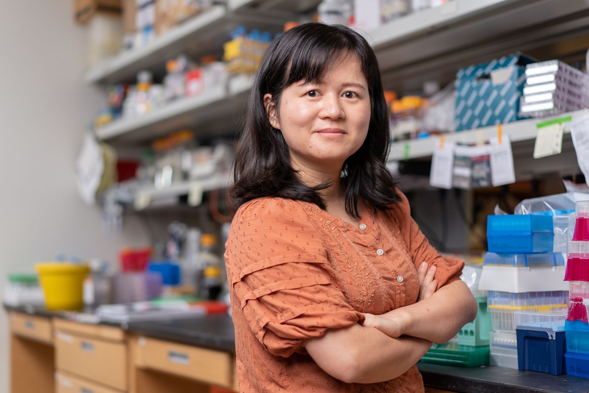 Russell Lab | St. Jude Research