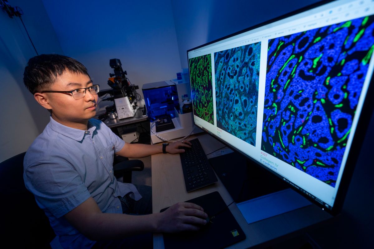 Yu Lab | St. Jude Research