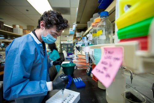 Roberts Lab | St. Jude Research