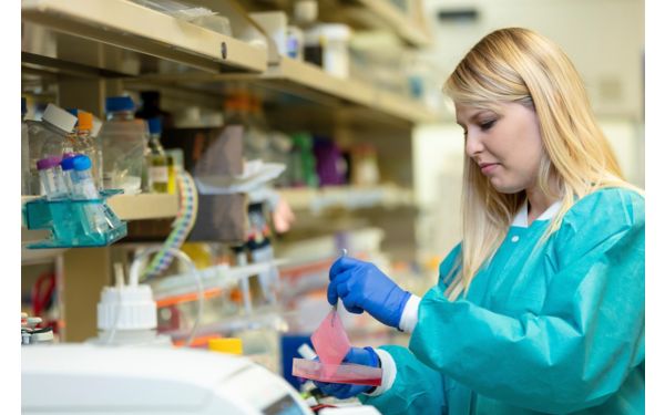 Labs | St. Jude Research