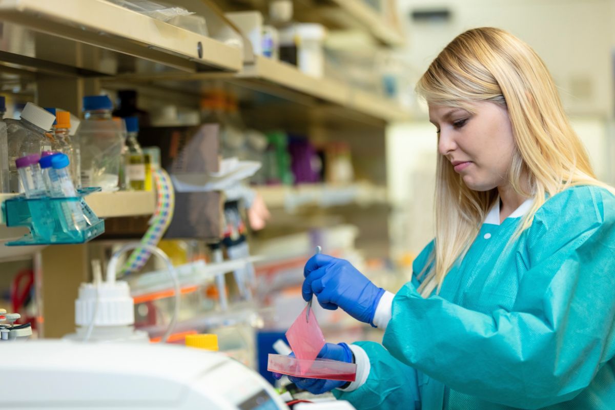 Roberts Lab | St. Jude Research