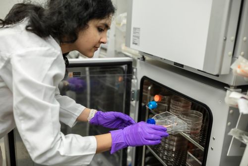 Roberts Lab | St. Jude Research