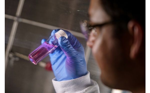 Labs | St. Jude Research