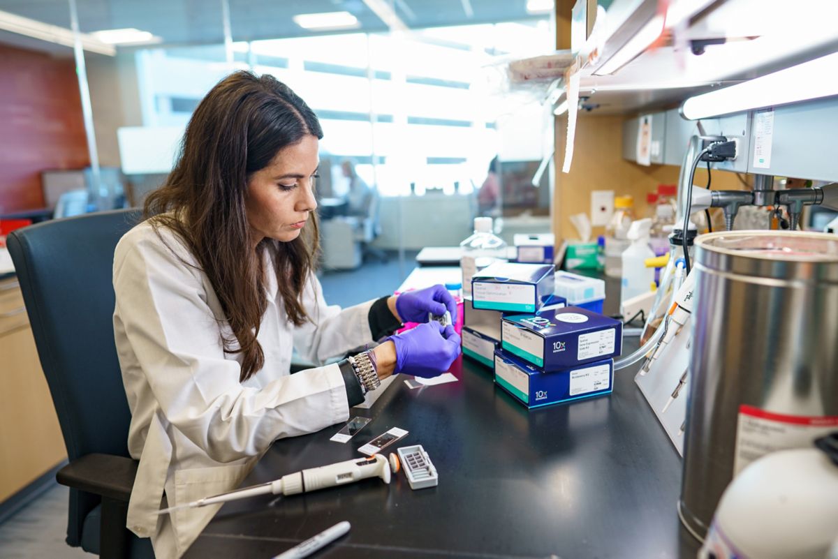 Plummer Lab | St. Jude Research