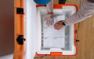 St. Jude avian flu hunters’ annual data collection provides context for ...