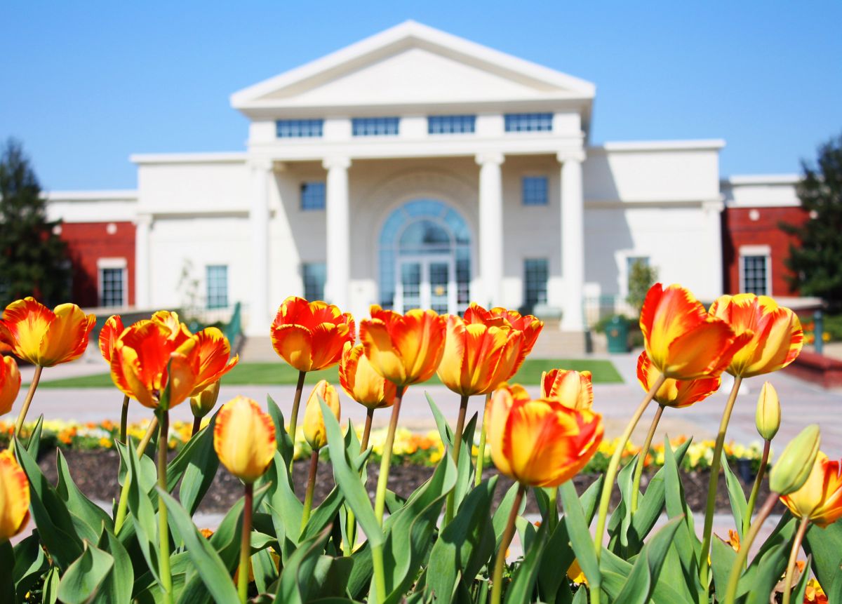 Explore the suburbs outside of Memphis, Tennessee