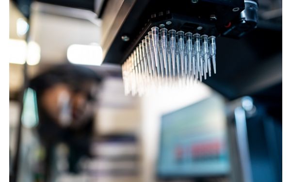 Labs | St. Jude Research