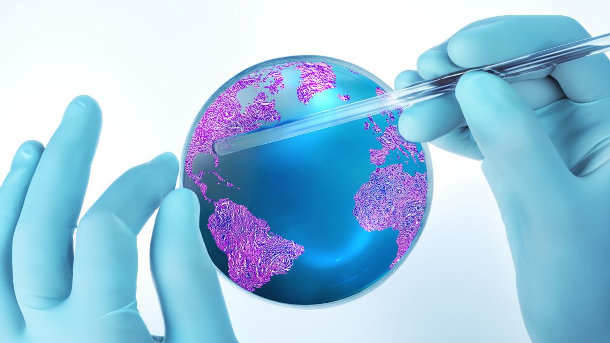 St. Jude Global builds pathology and laboratory medicine capacity and ...