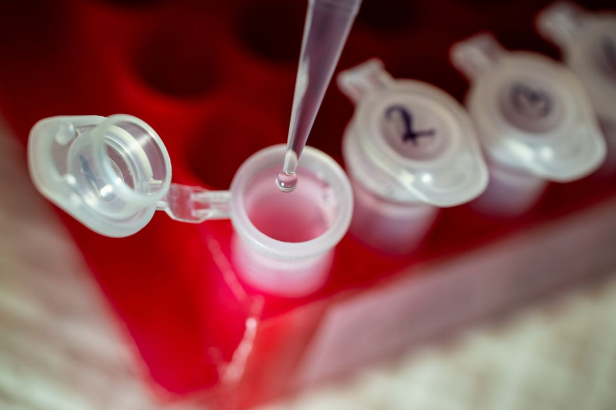 Xiaoyu Chen Lab | St. Jude Research