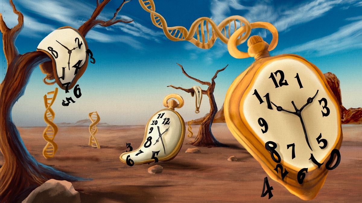 The ticking ‘epigenetic’ clock measures true biological age | St. Jude ...