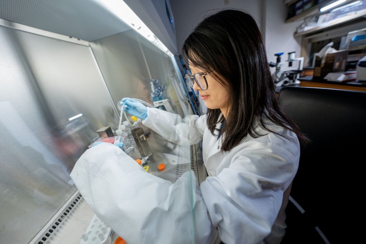 Senthil Bhoopalan Lab | St. Jude Research