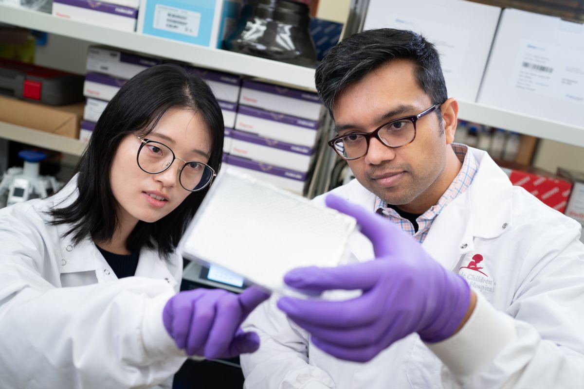 A curative gene therapy for Diamond-Blackfan anemia nears the clinic | St. Jude Research