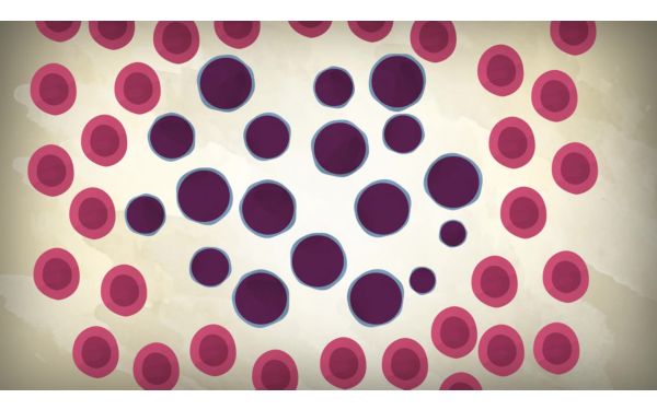 Together - Your Home Base to Face Pediatric Cancer