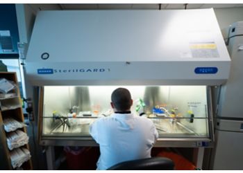 Home | St. Jude Research