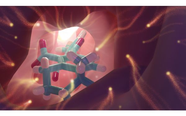 Labs | St. Jude Research