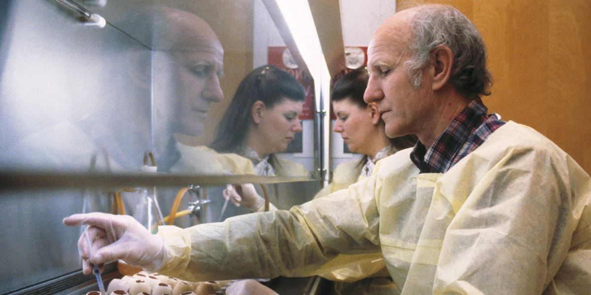 Legendary flu hunter offers tips to stay healthy during a pandemic | St ...