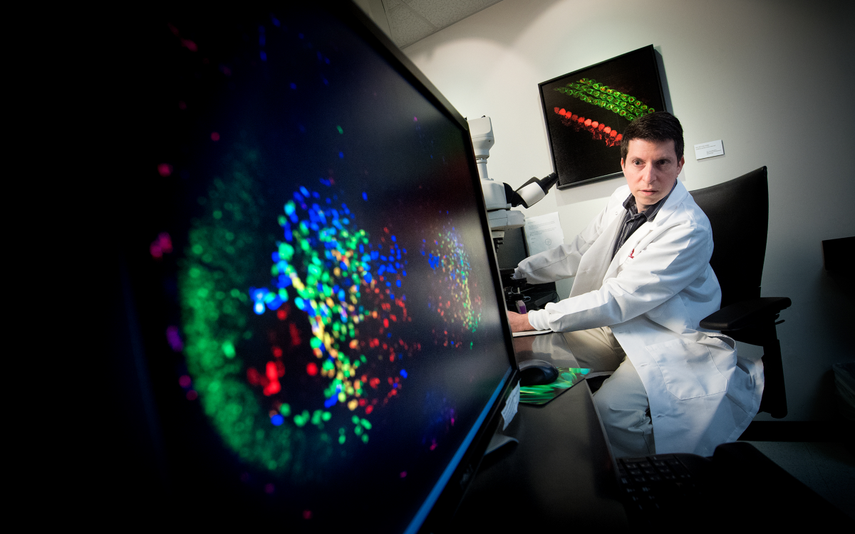 Jay B. Bikoff, PhD | St. Jude People