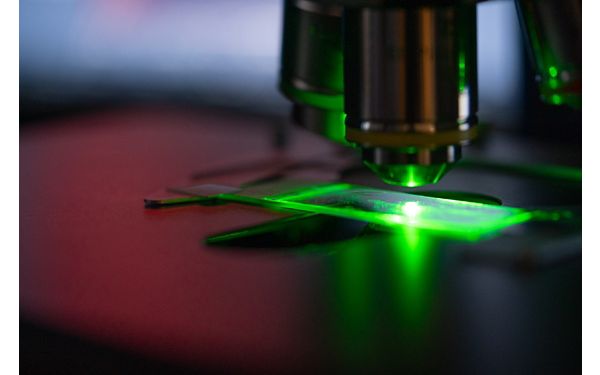 Labs | St. Jude Research