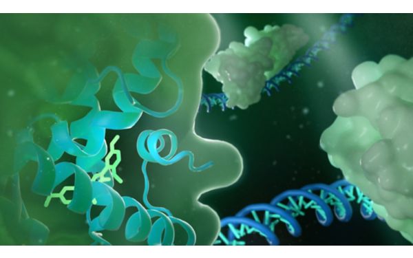 Labs | St. Jude Research