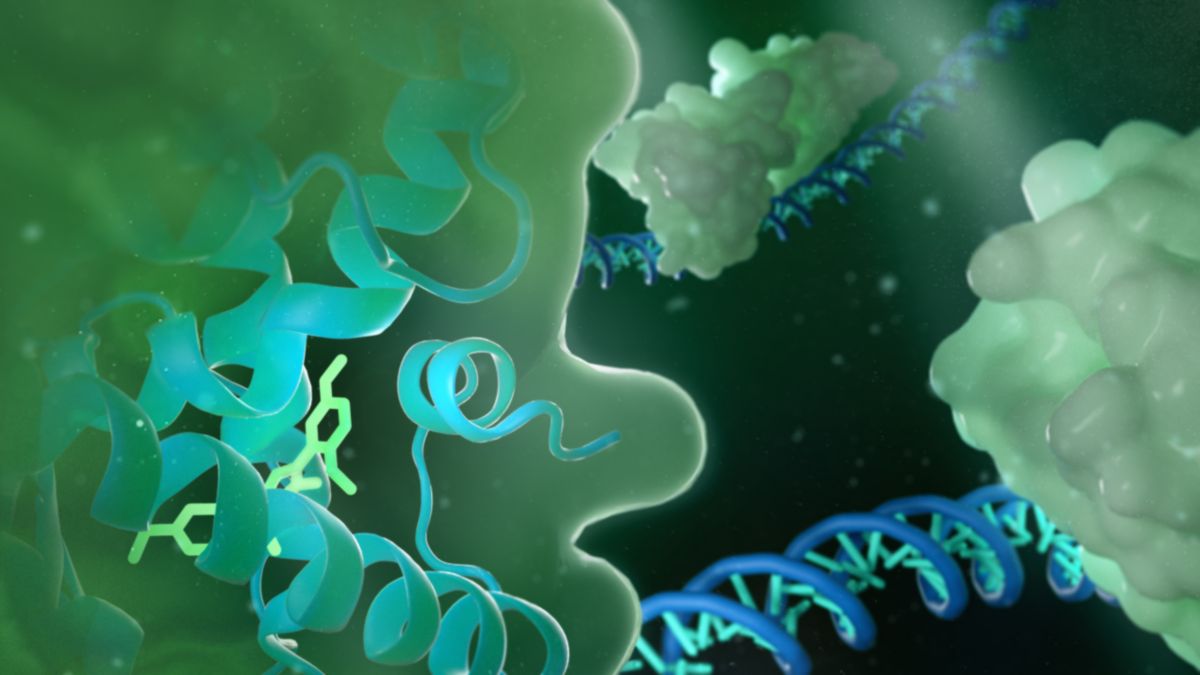 Chen Lab | St. Jude Research