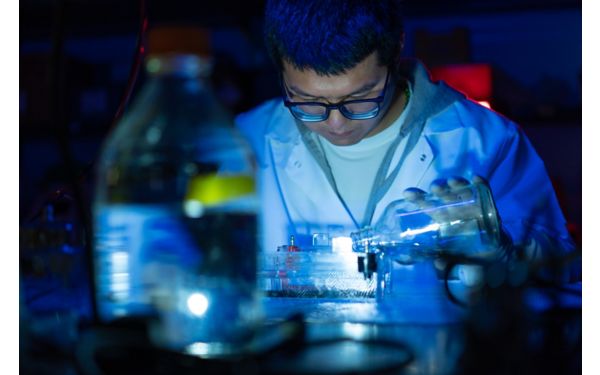 Labs | St. Jude Research