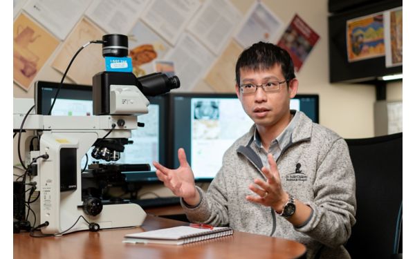 Labs | St. Jude Research