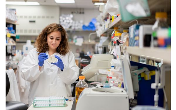 Labs | St. Jude Research