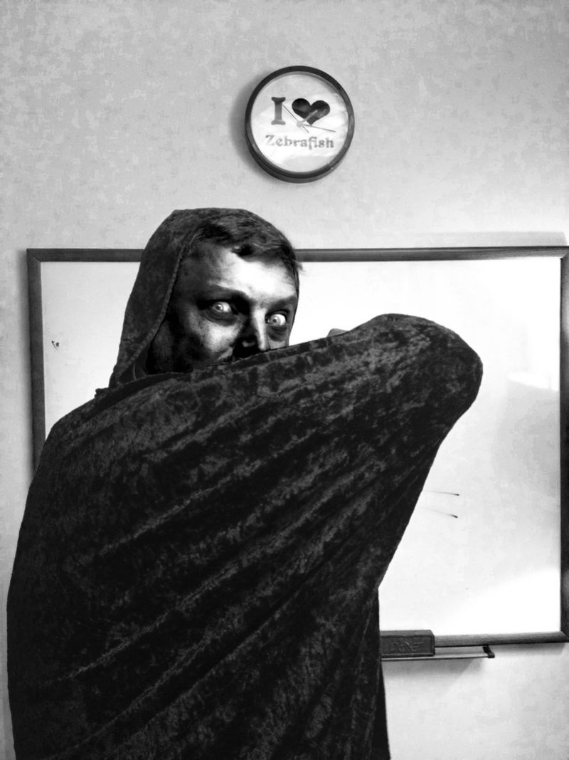 Clements Lab | St. Jude Research