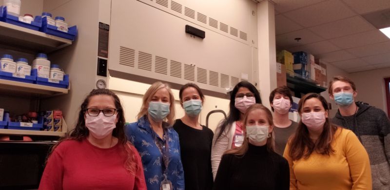 Clements Lab | St. Jude Research