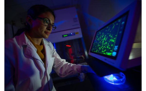 Labs | St. Jude Research