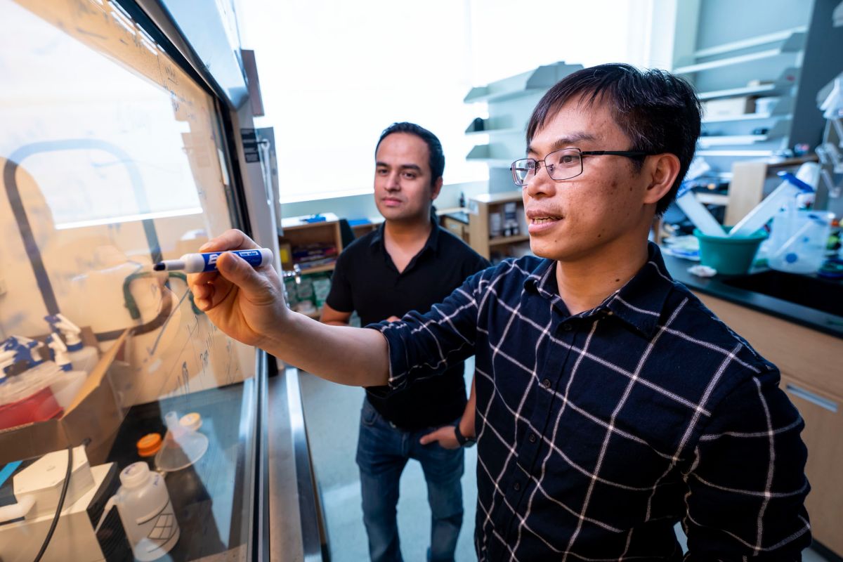 Dao Lab | St. Jude Research