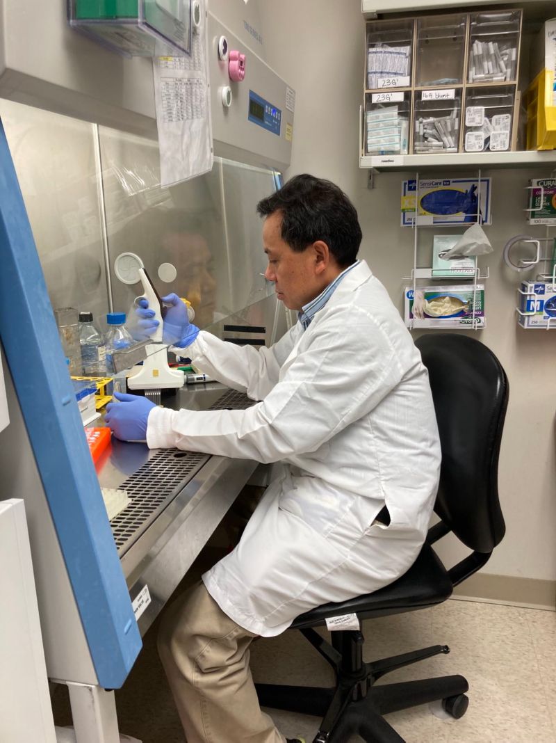 Yang Lab | St. Jude Research