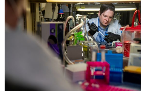 Labs | St. Jude Research