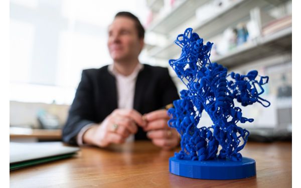 Labs | St. Jude Research