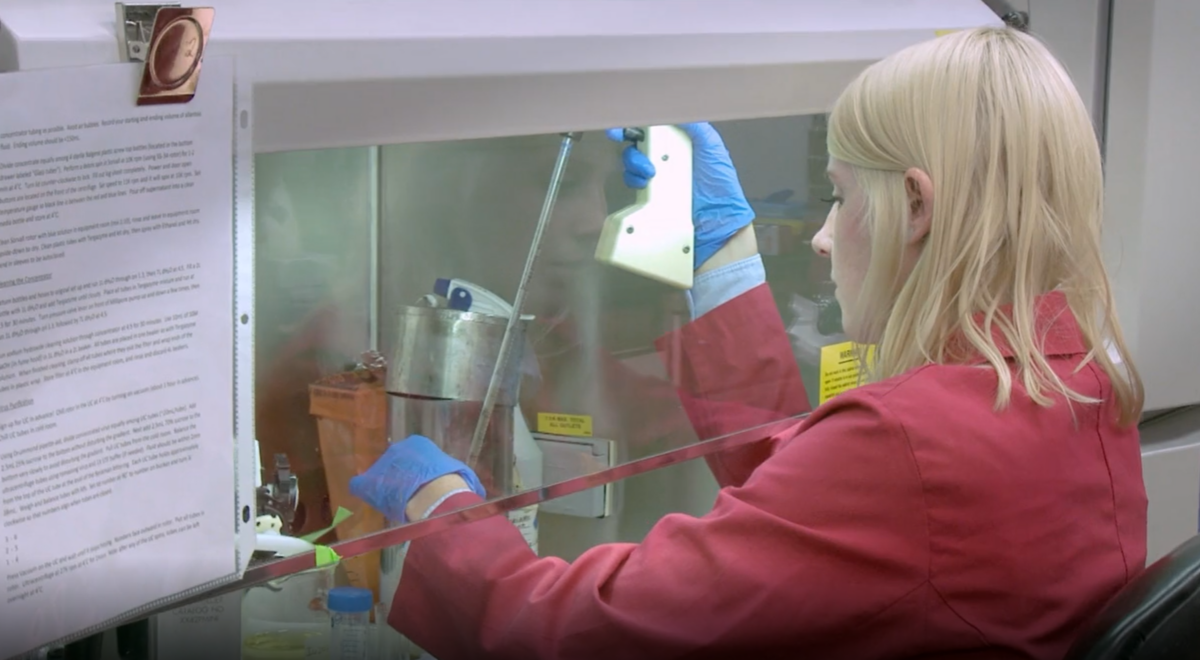 St. Jude's plasmid rescue system contribution to FluMist | St. Jude ...