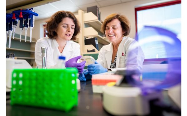 Labs | St. Jude Research