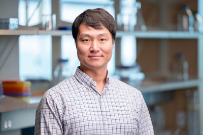 Chen Lab Team | St. Jude Research